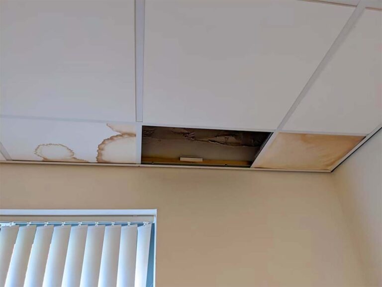 Water Damaged Ceiling Tiles Removed & Replaced